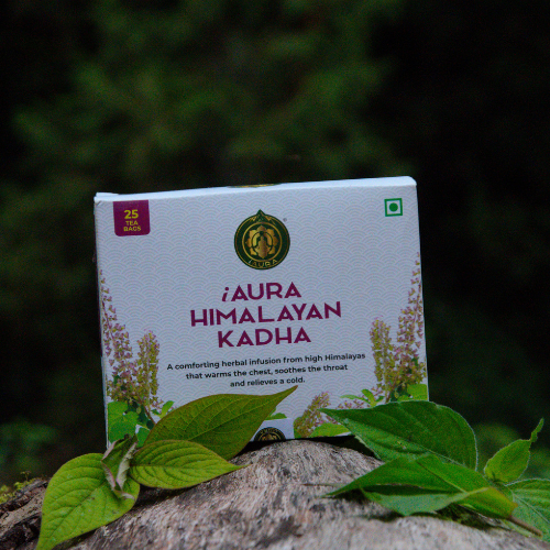iAura Himalayan Kadha - 25 Tea Bags – iAura.in